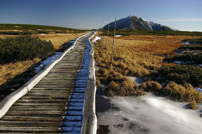 Apartment Ulrich - Úpské rašeliniště